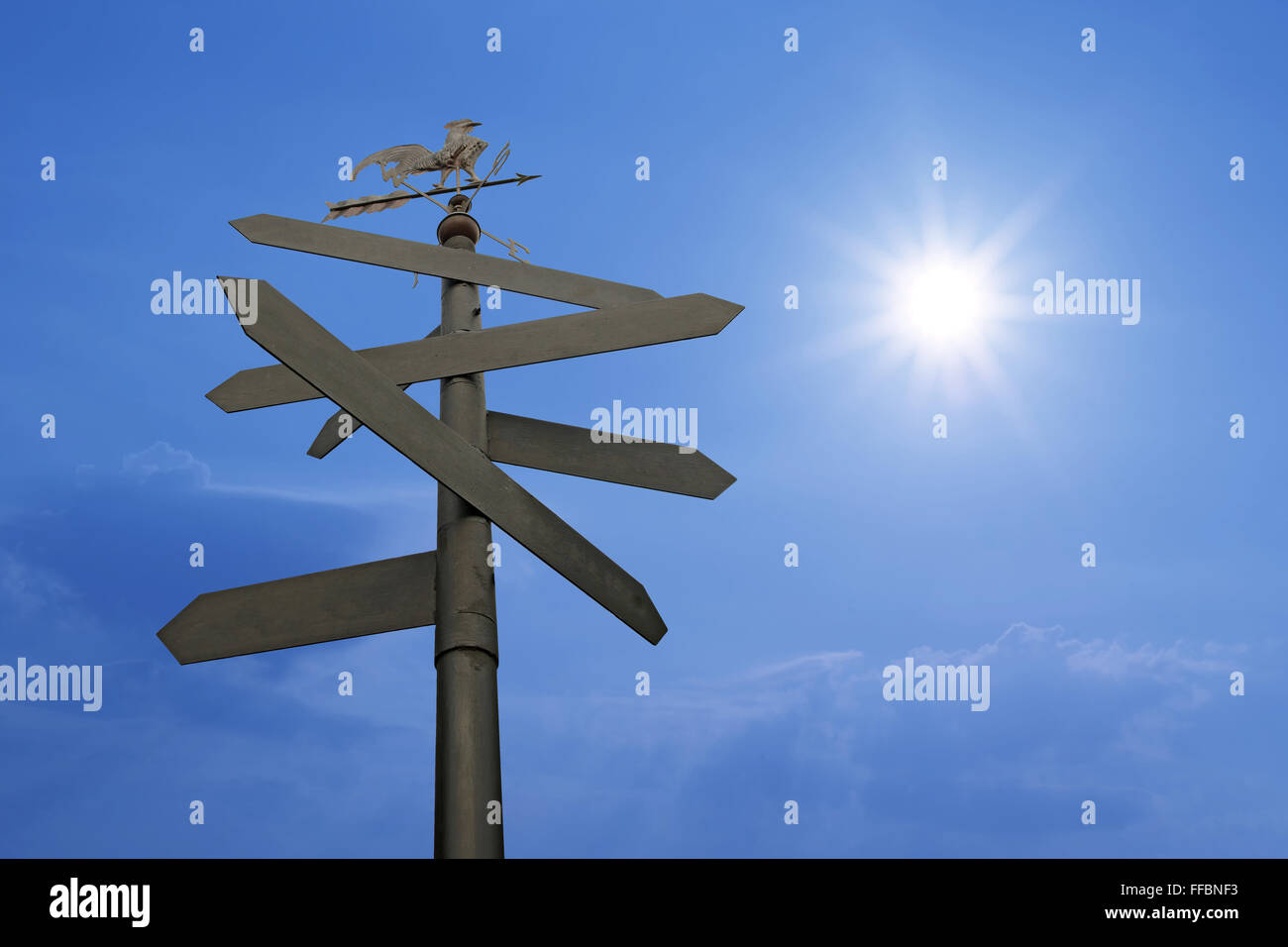 direction sign with blank spaces for text on beautiful sunlight ...