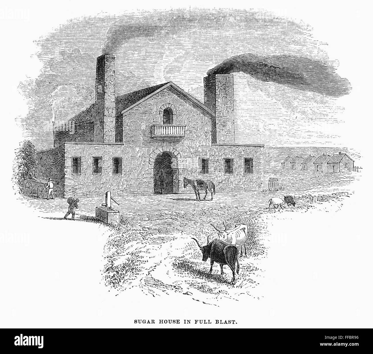 SUGAR PLANTATION, 1853. /n'Sugar House in Full Blast.' The factory on a ...