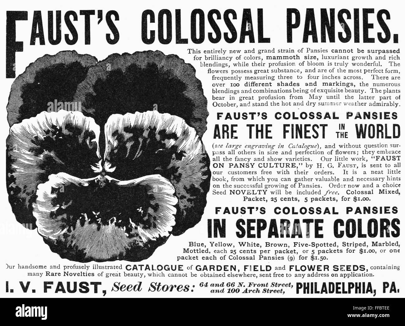 PANSY ADVERTISEMENT, 1889. /nAmerican magazine advertisement for Faust ...