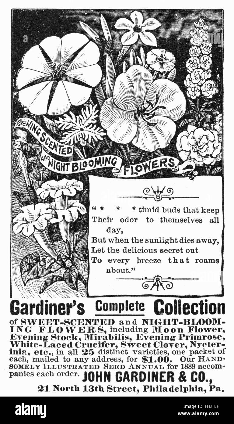 FLOWER ADVERTISEMENT, 1889. /nAmerican magazine advertisement for ...