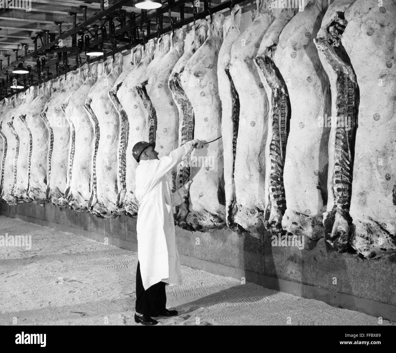 MEATPACKING. /nAmerican meatpacking freezer, c1960 Stock Photo - Alamy