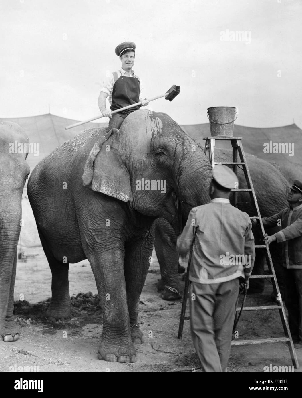 CIRCUS: ELEPHANTS. /nStill from the American motion picture 'The Circus ...