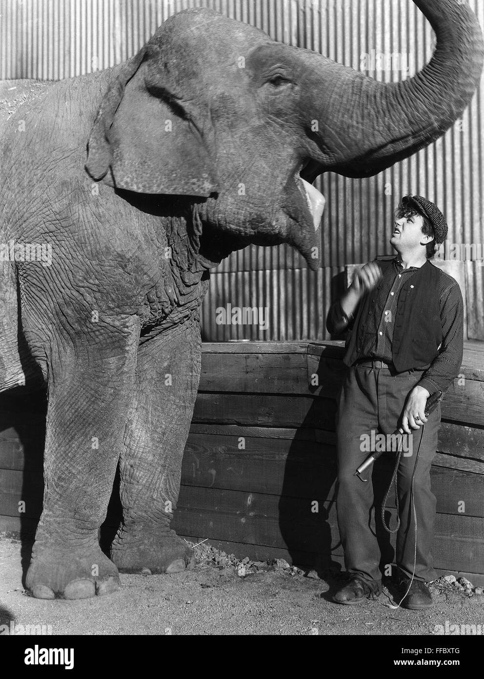 CIRCUS: ELEPHANT. /nA circus elephant with actor Andy Devine in a still ...