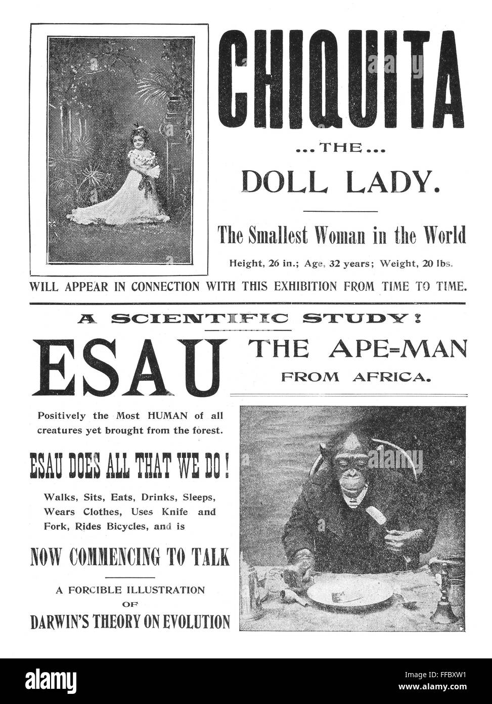 CIRCUS FREAKS, c1901. /nChiquita the Doll Lady and Esau the Ape-Man ...