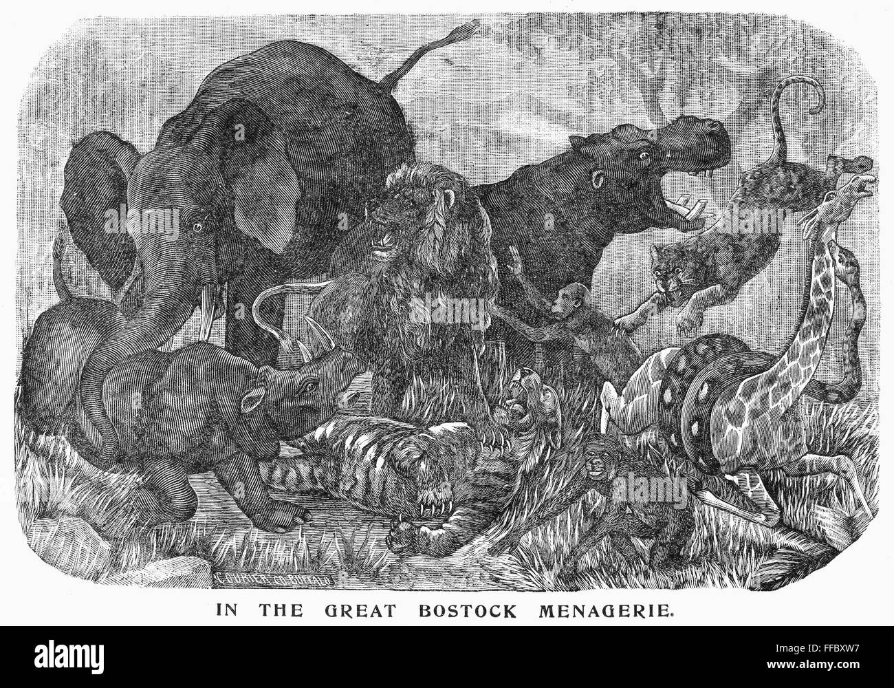CIRCUS: MENAGERIE, c1901. /nFrank C. Bostock's animal menagerie. Wood ...