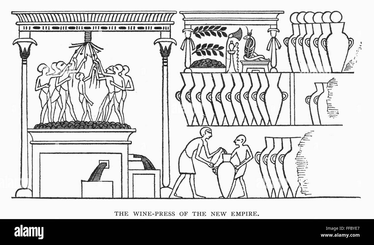 EGYPT: WINEMAKING. /nWinemakers in Ancient Egypt pressing the grapes ...