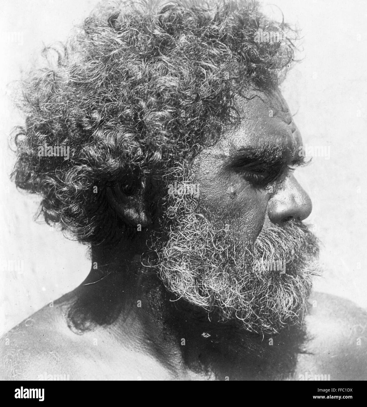 ABORIGINAL MAN. /nPortrait of an Aboriginal Australian man. Photograph ...
