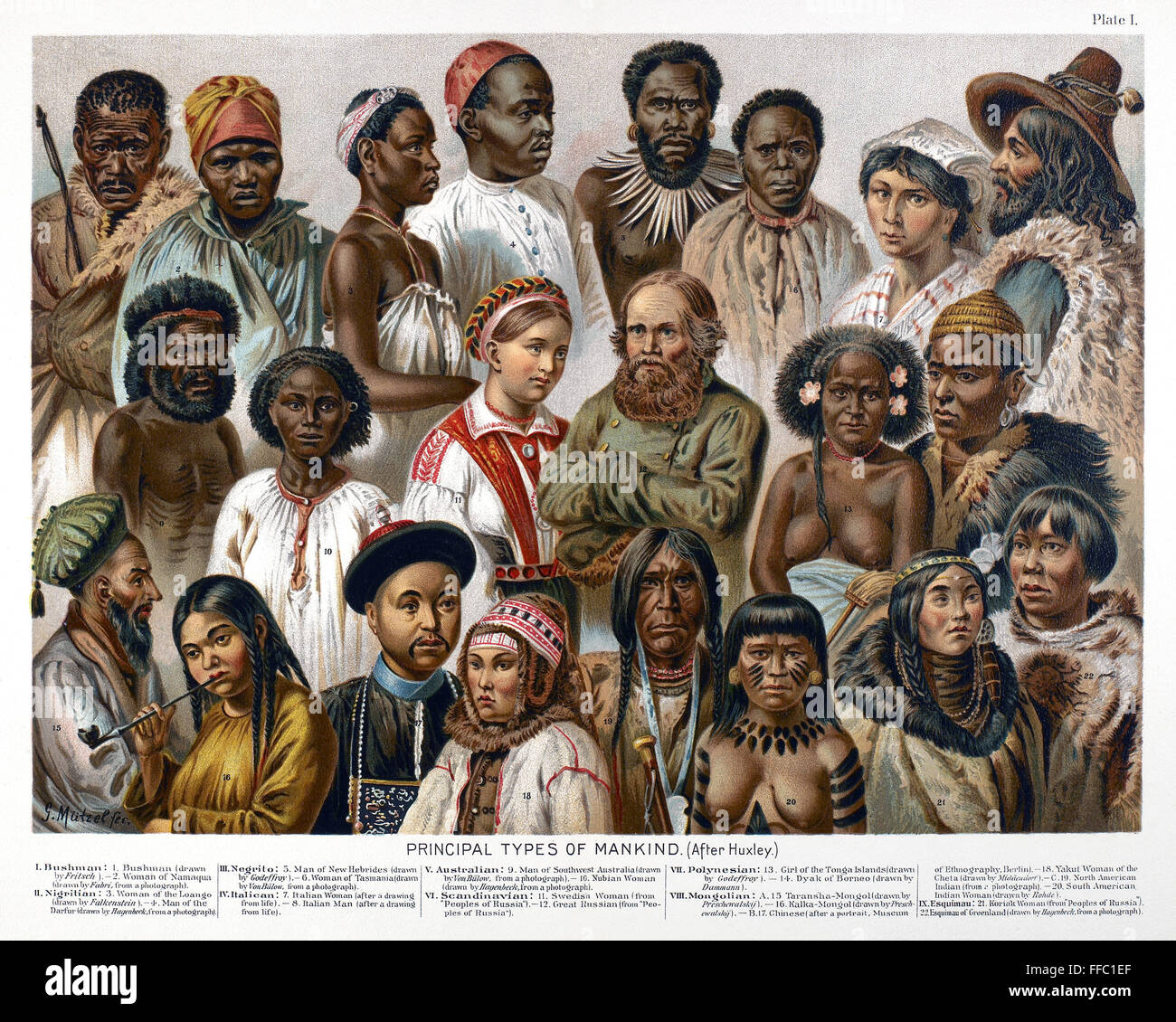 RACIAL TYPES, 19th CENTURY. /n'Principal Types of Mankind (After Huxley ...