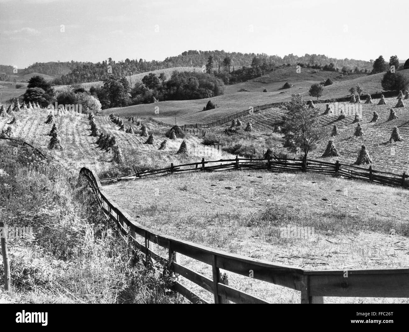 CORN FIELD, 1940. /nCorn shocks and fences on a farm near Marion ...