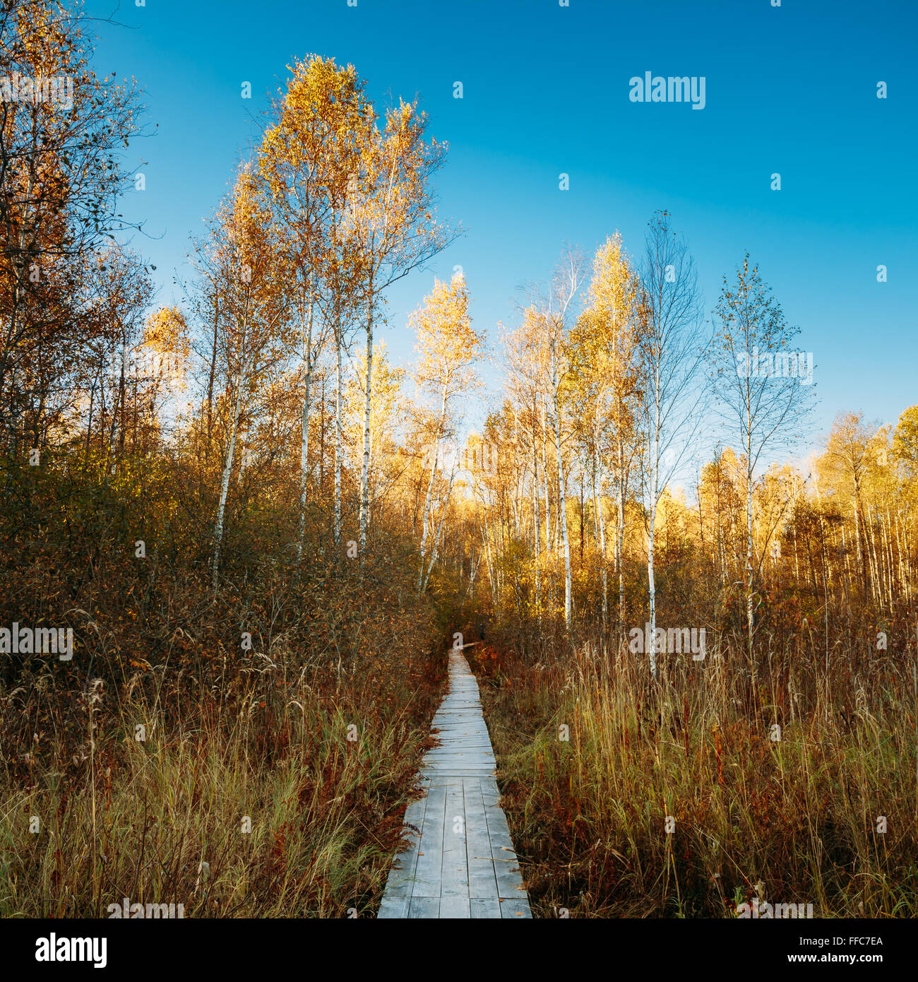 Boarding Walkway High Resolution Stock Photography and Images - Alamy
