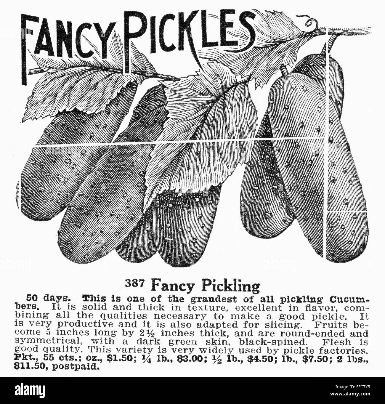 ADVERTISEMENT: PICKLES. /nFancy pickles. Advertisement engraving ...