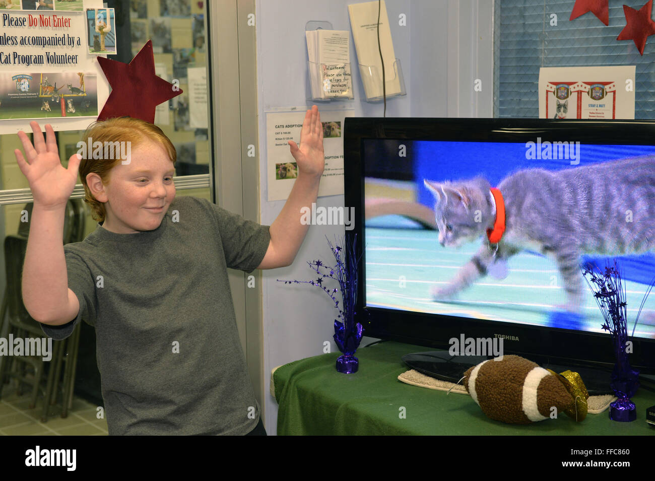 Lions cheer team hi-res stock photography and images - Alamy