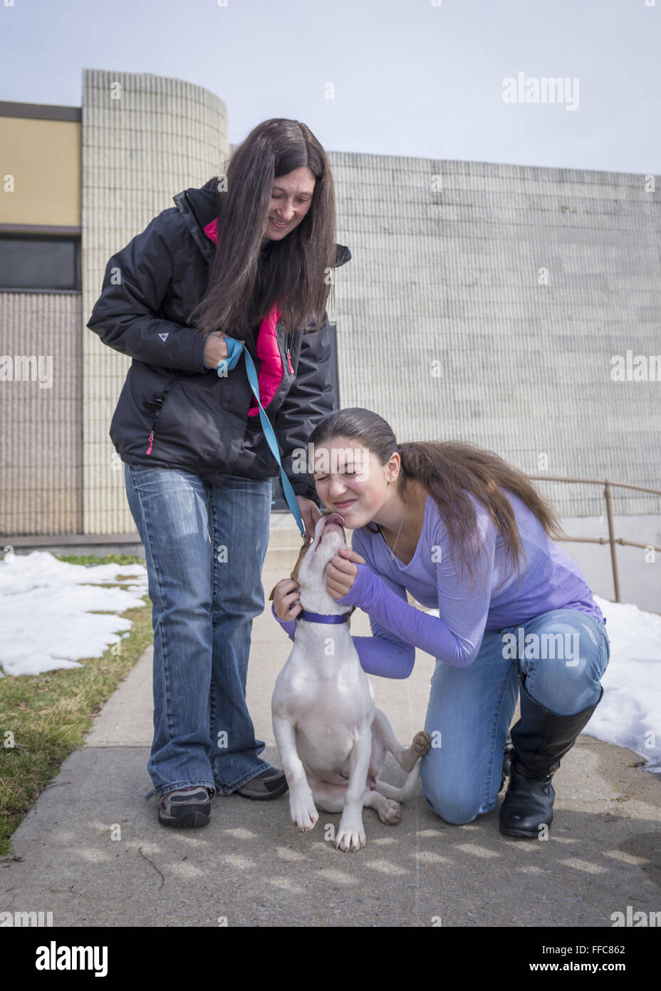 Wantagh, New York, USA. 7th Feb, 2016. EMILY smiles as Halley the ...