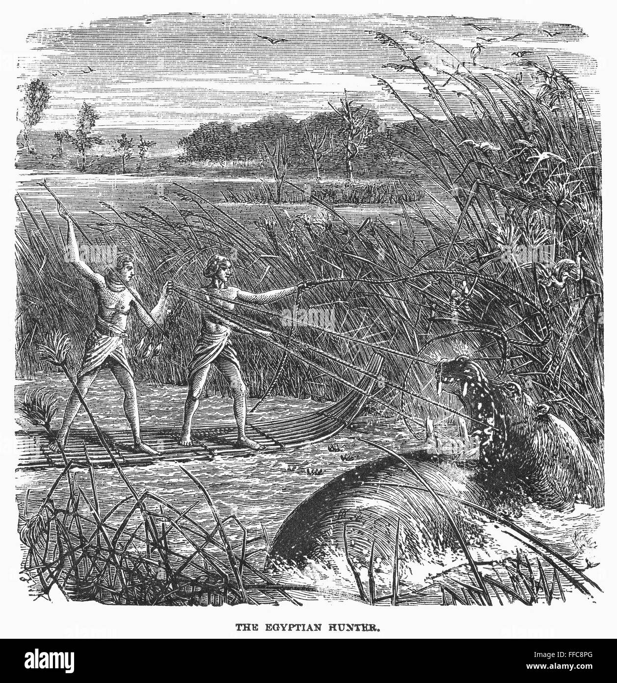 EGYPTIAN HUNTERS. /nAncient Egyptians hunting a hippopotamus. 19th ...