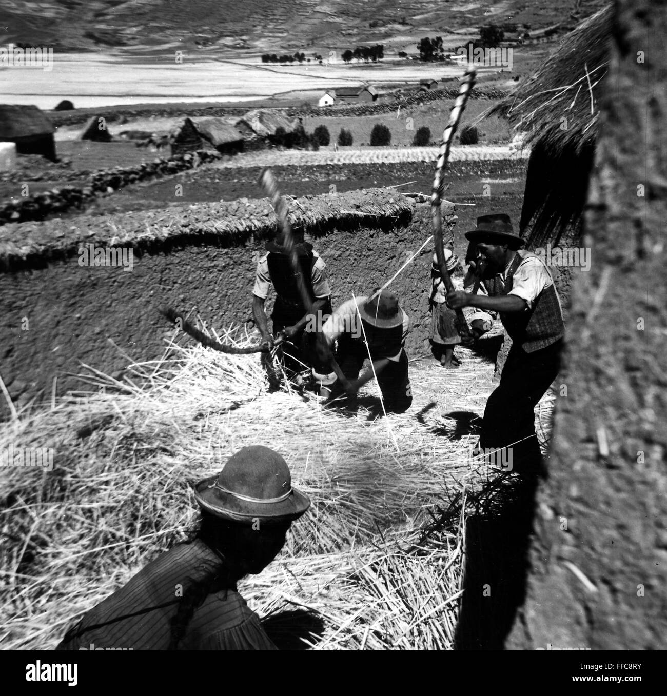 PERU: THRESHING, 1957. /nVillagers living on a high plateau of the ...