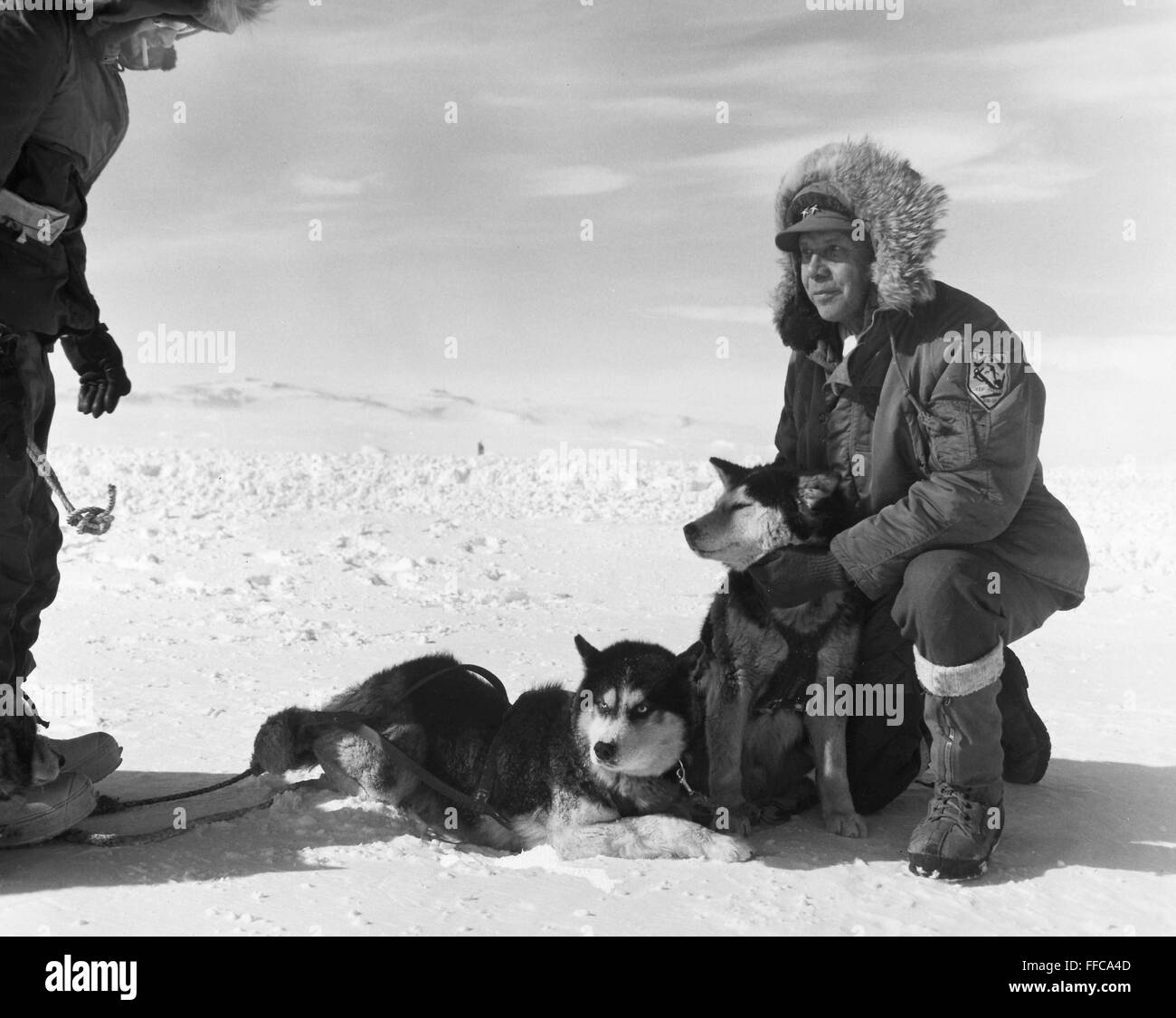 ANTARCTICA: SLED DOGS. /nHuskies at the American South Pole Station ...