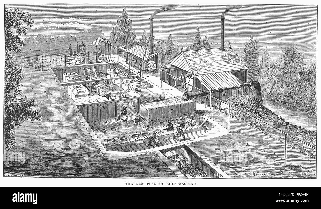 AUSTRALIA: WOOL INDUSTRY. /nA new plan of sheepwashing in Australia ...