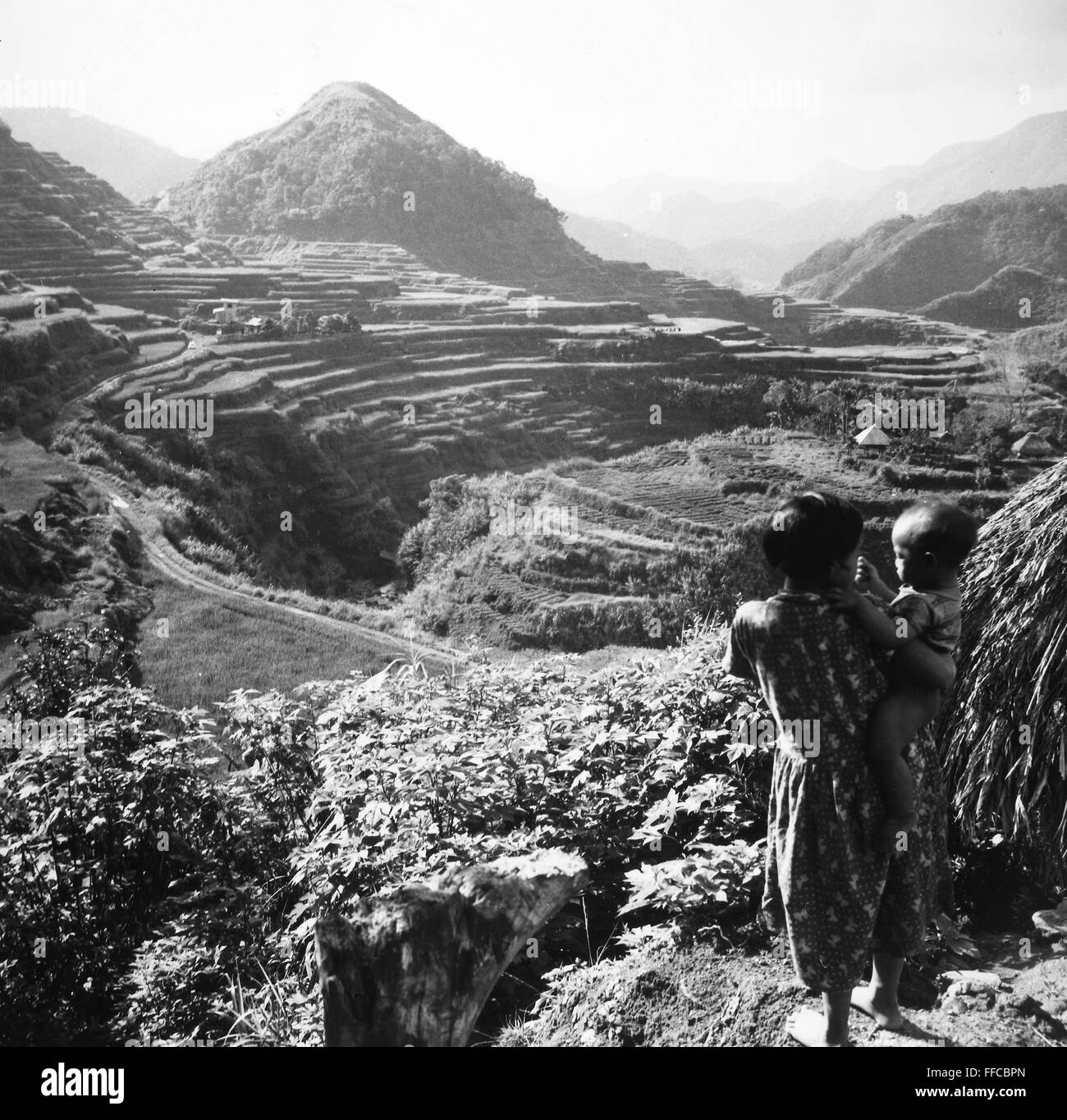 PHILIPPINES: RICE RIELDS. /nView of the famous Banawe rice terraces ...