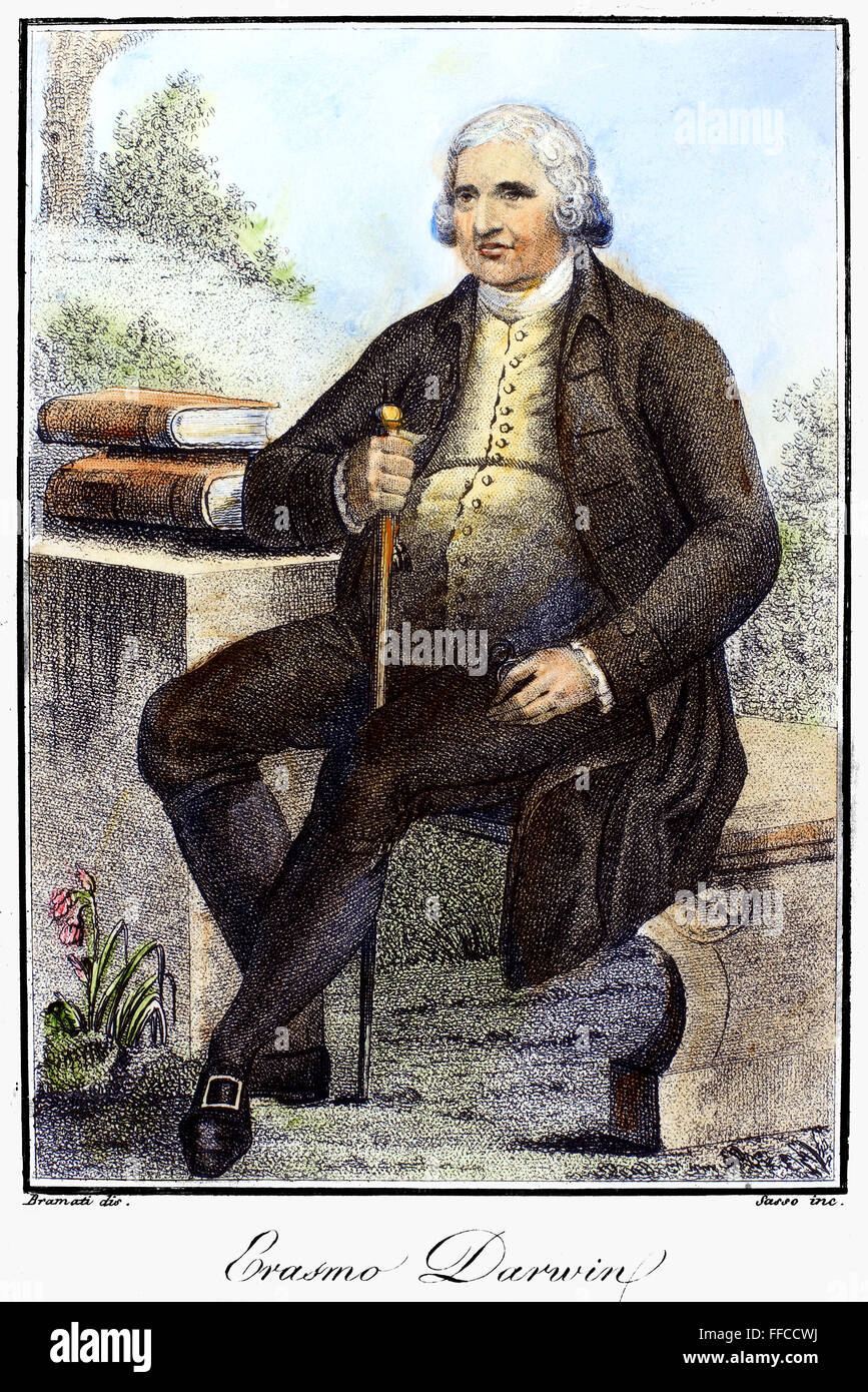 Erasmus portrait hi-res stock photography and images - Alamy