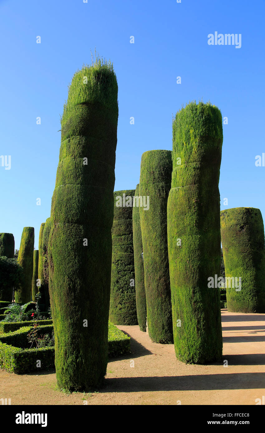 Cypress trees in the gardens of the Alcázar de los Reyes Cristianos ...