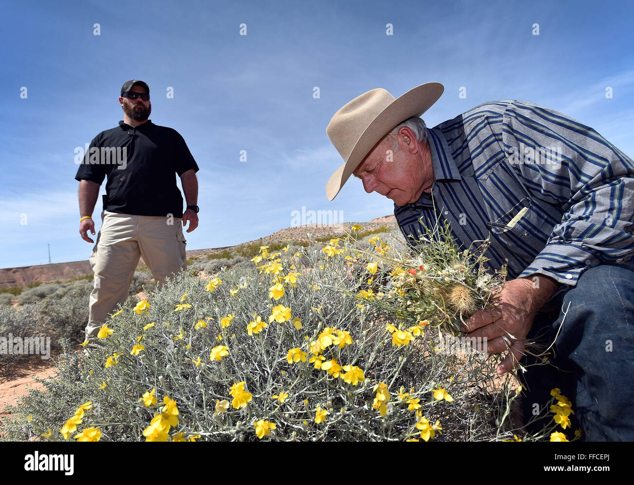 Cliven bundy standoff hi-res stock photography and images - Alamy