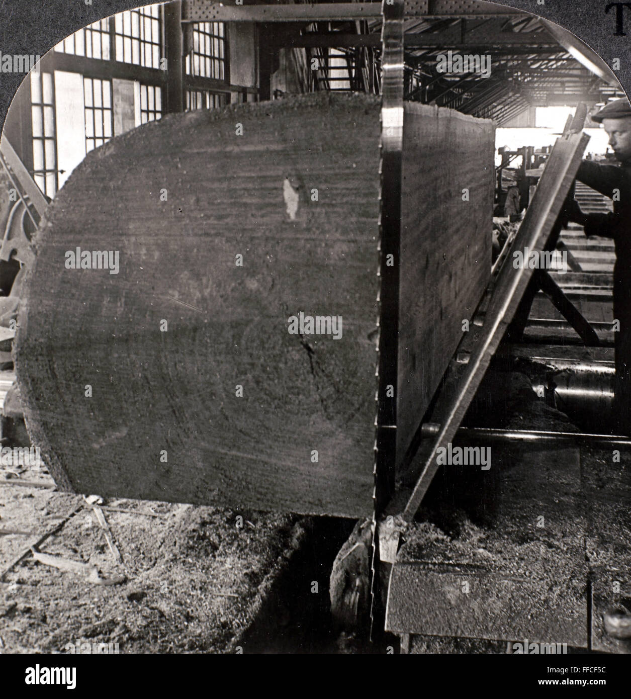 LUMBERING: REDWOOD. /nBand saw cutting a redwood log at a saw mill in ...