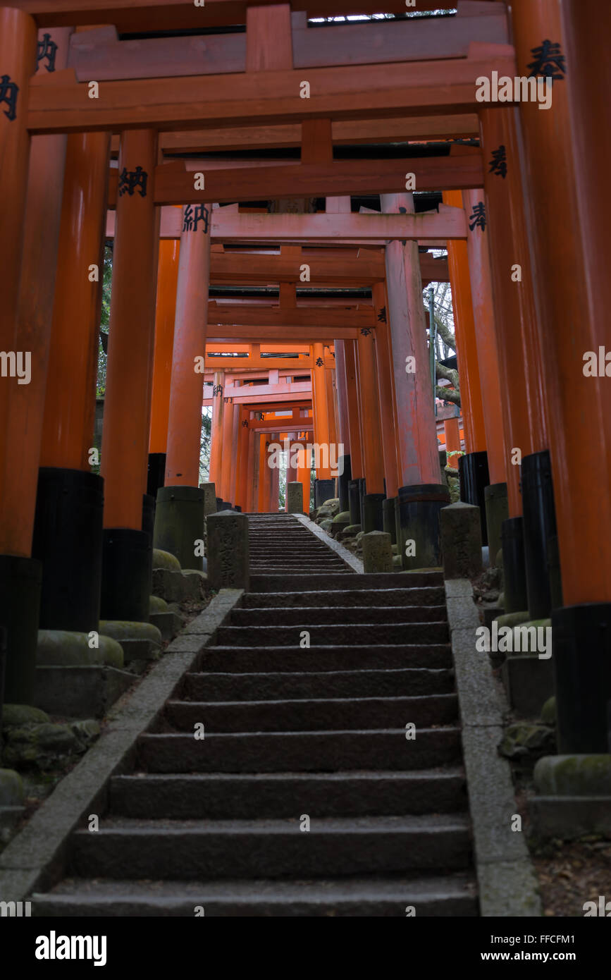 Torii gates at Fushimi Inari Shrine, Kyoto, Japan Stock Photo - Alamy