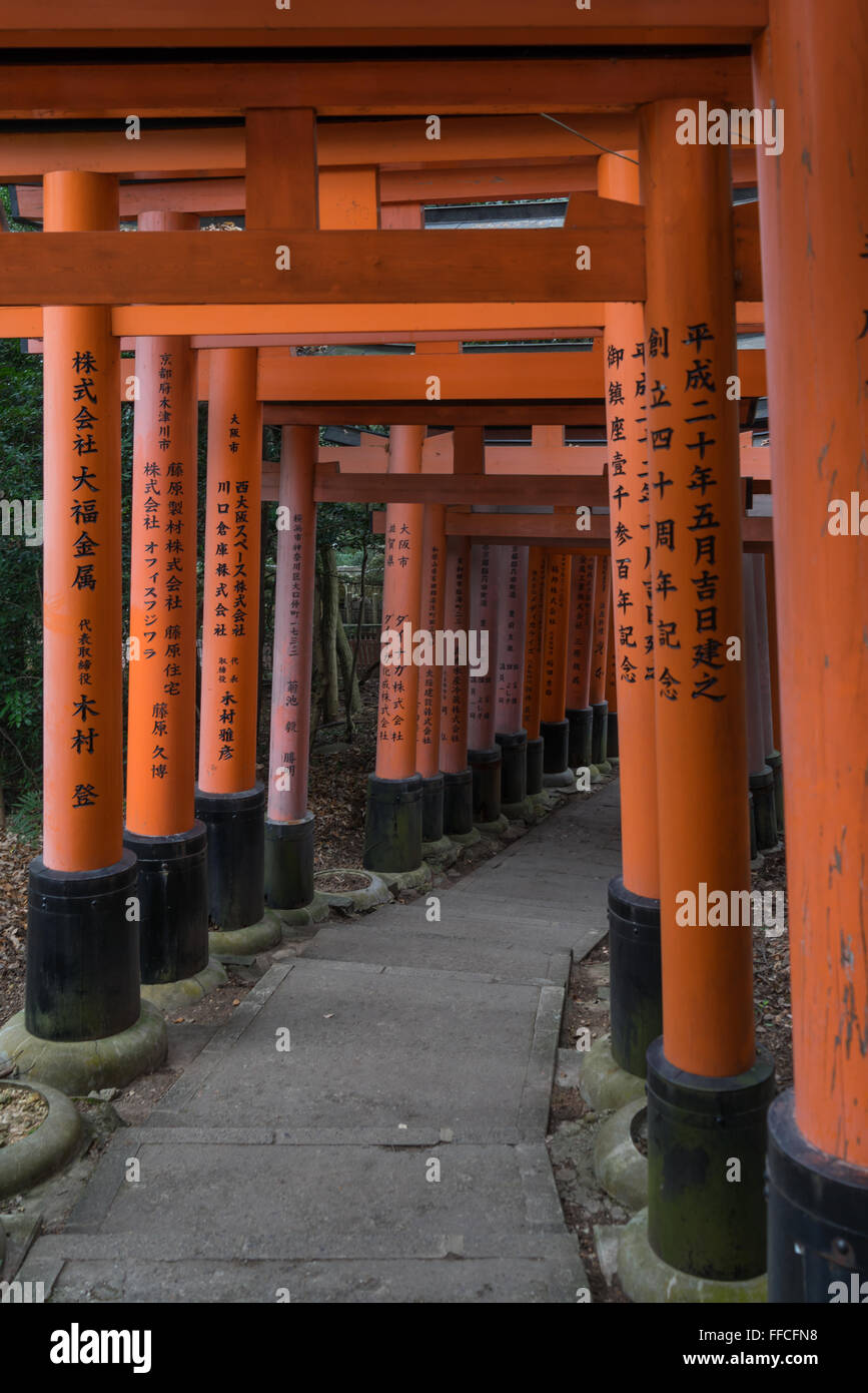 Torii gates at Fushimi Inari Shrine, Kyoto, Japan Stock Photo - Alamy