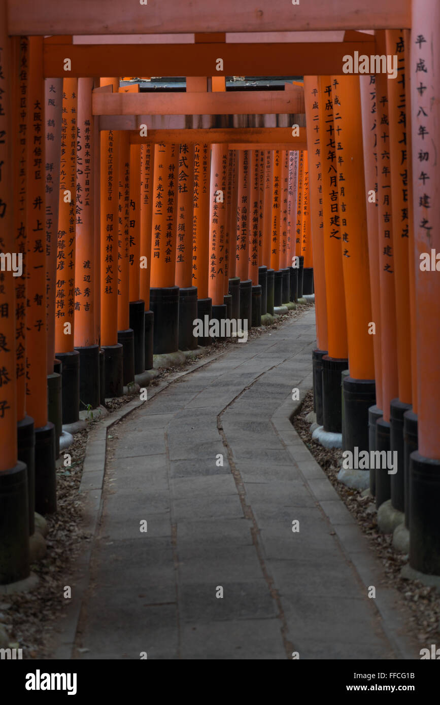 Torii gates at Fushimi Inari Shrine, Kyoto, Japan Stock Photo - Alamy