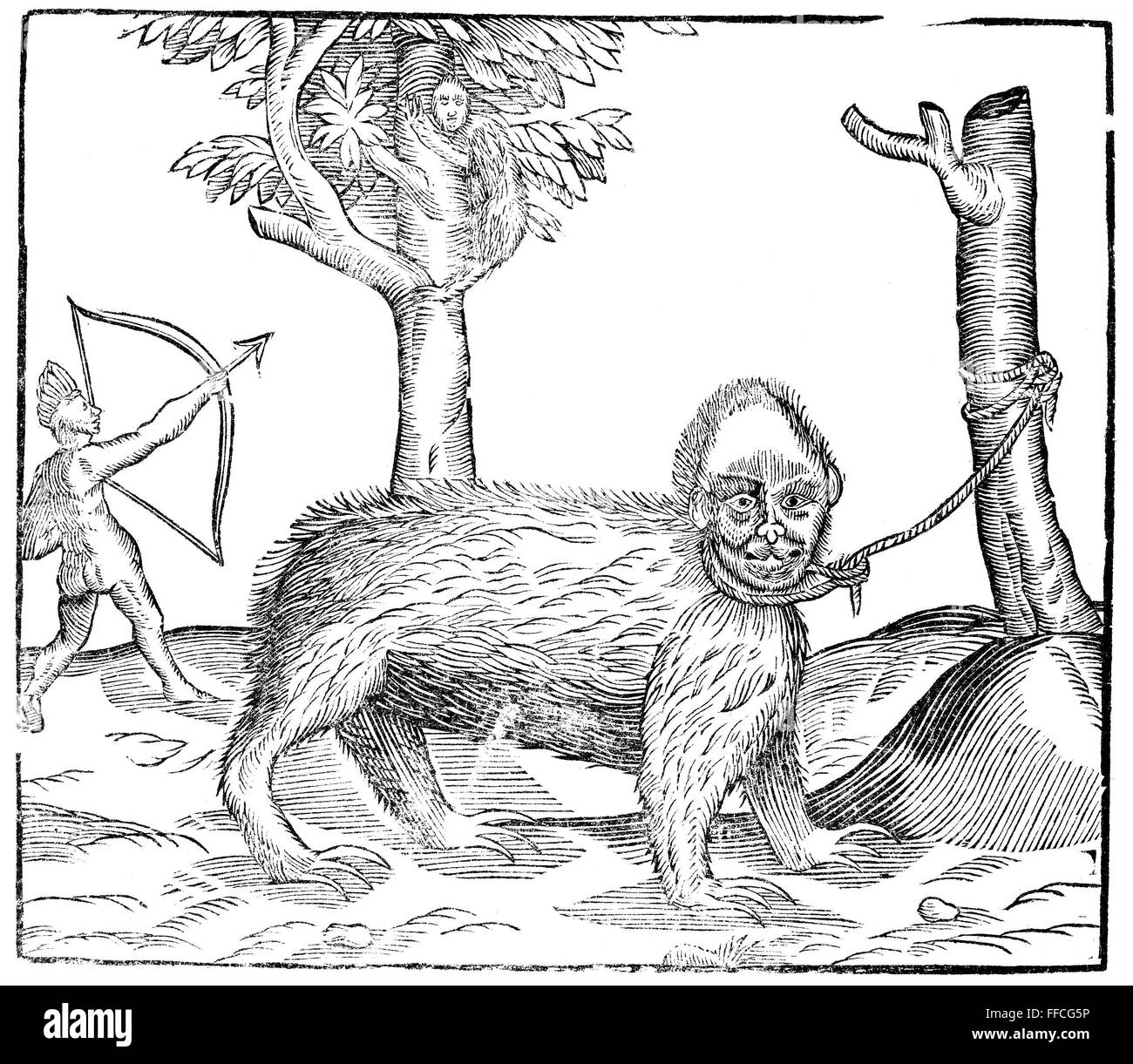 MONSTER, 16th CENTURY. /nFigure of an imaginary monster from Africa ...