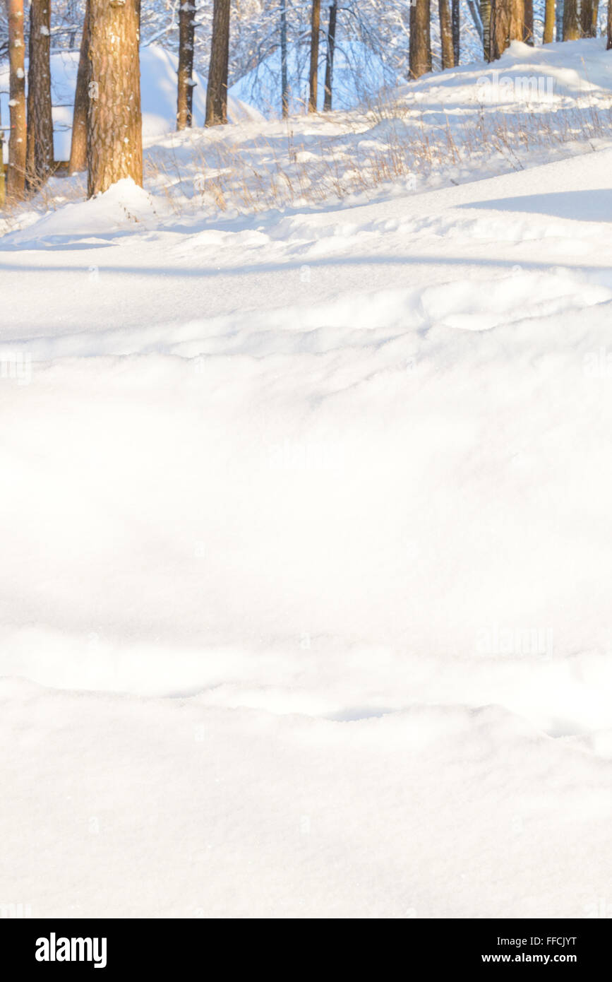 winter snow background with forest for portrait sessions. 80 mm Stock ...