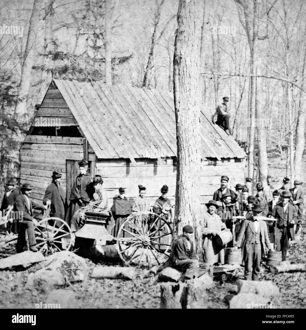 MAPLE SUGAR PARTY, c1900. /nStereograph, American, c1900 Stock Photo ...