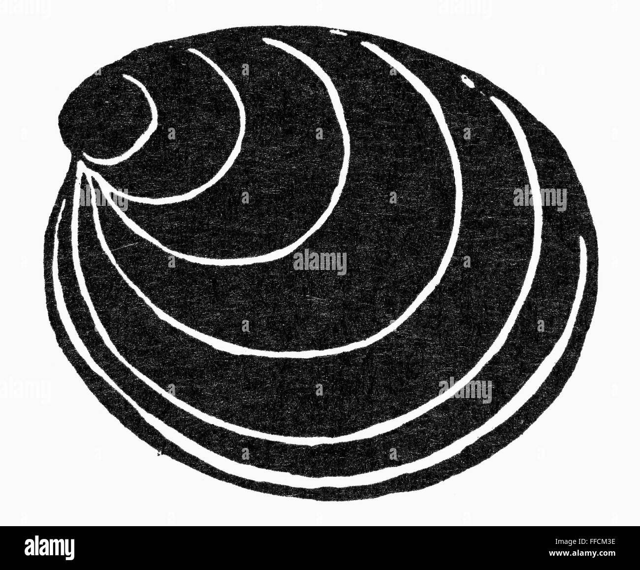 SYMBOL: SILENCE. /nClam, a symbol of silence Stock Photo - Alamy