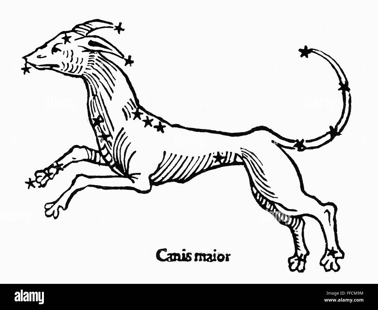 CANIS MAJOR, 1482. /nFiguration of Canis Major. Woodcut from Gaius ...