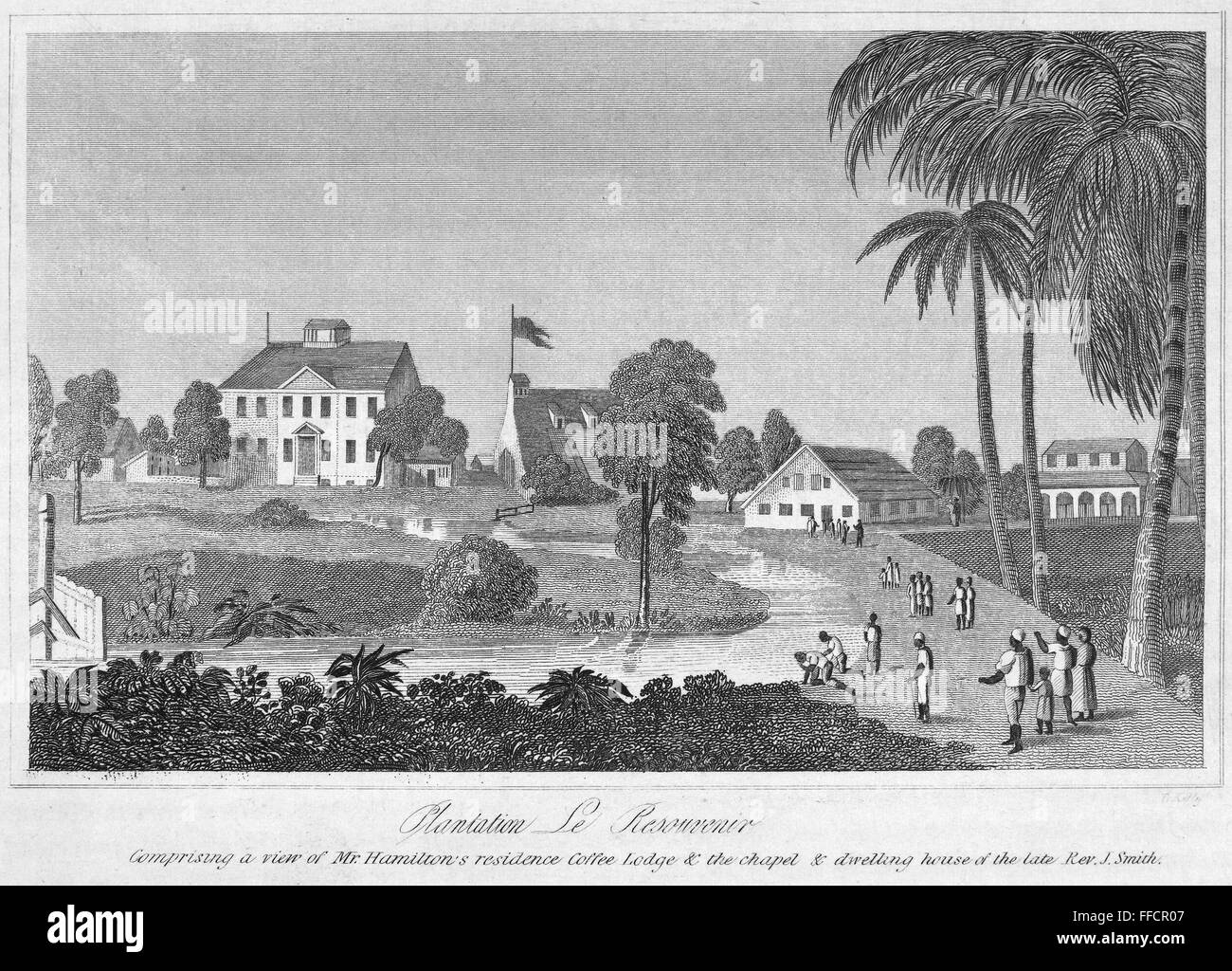 BRITISH GUIANA: SLAVERY. /n'Le Resouvenir,' a coffee plantation in ...