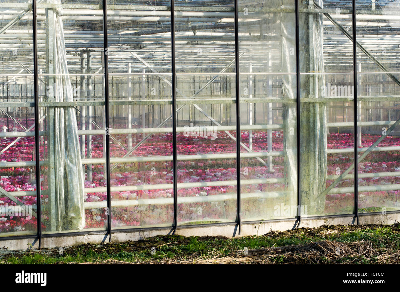 See through panels hi-res stock photography and images - Alamy