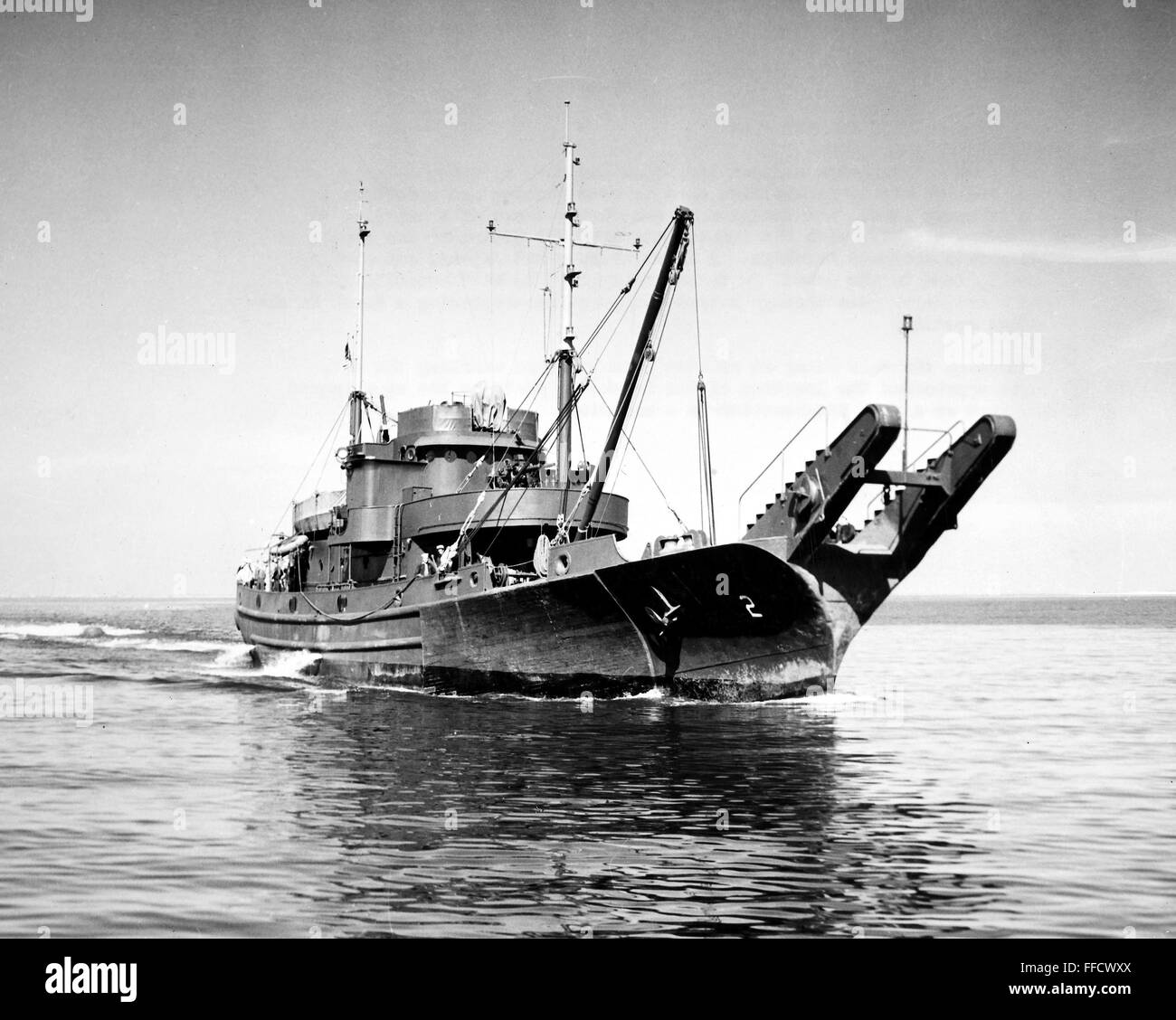 Torpedo of the sea hi-res stock photography and images - Alamy