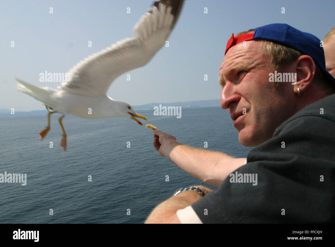 Seagull Chips Stock Photos & Seagull Chips Stock Images - Alamy