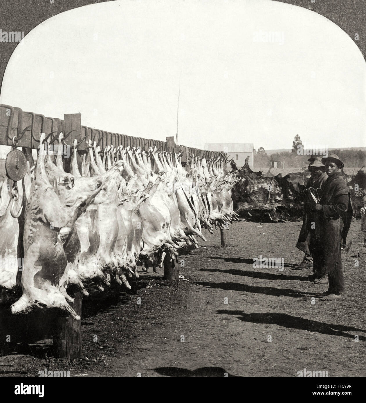 WORLD WAR I: RATIONS, 1918. /nMeat for American soldiers in the ...