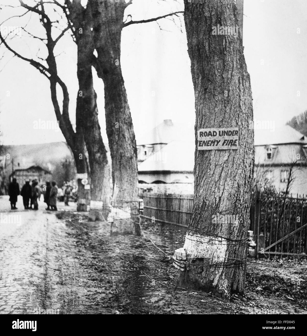 WORLD WAR II: BELGIUM. /nDynamite strapped to trees by American forces ...