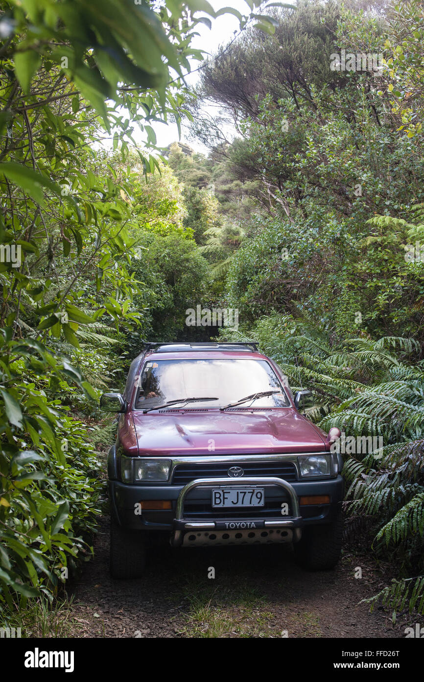 Car driving through bush hi-res stock photography and images - Alamy