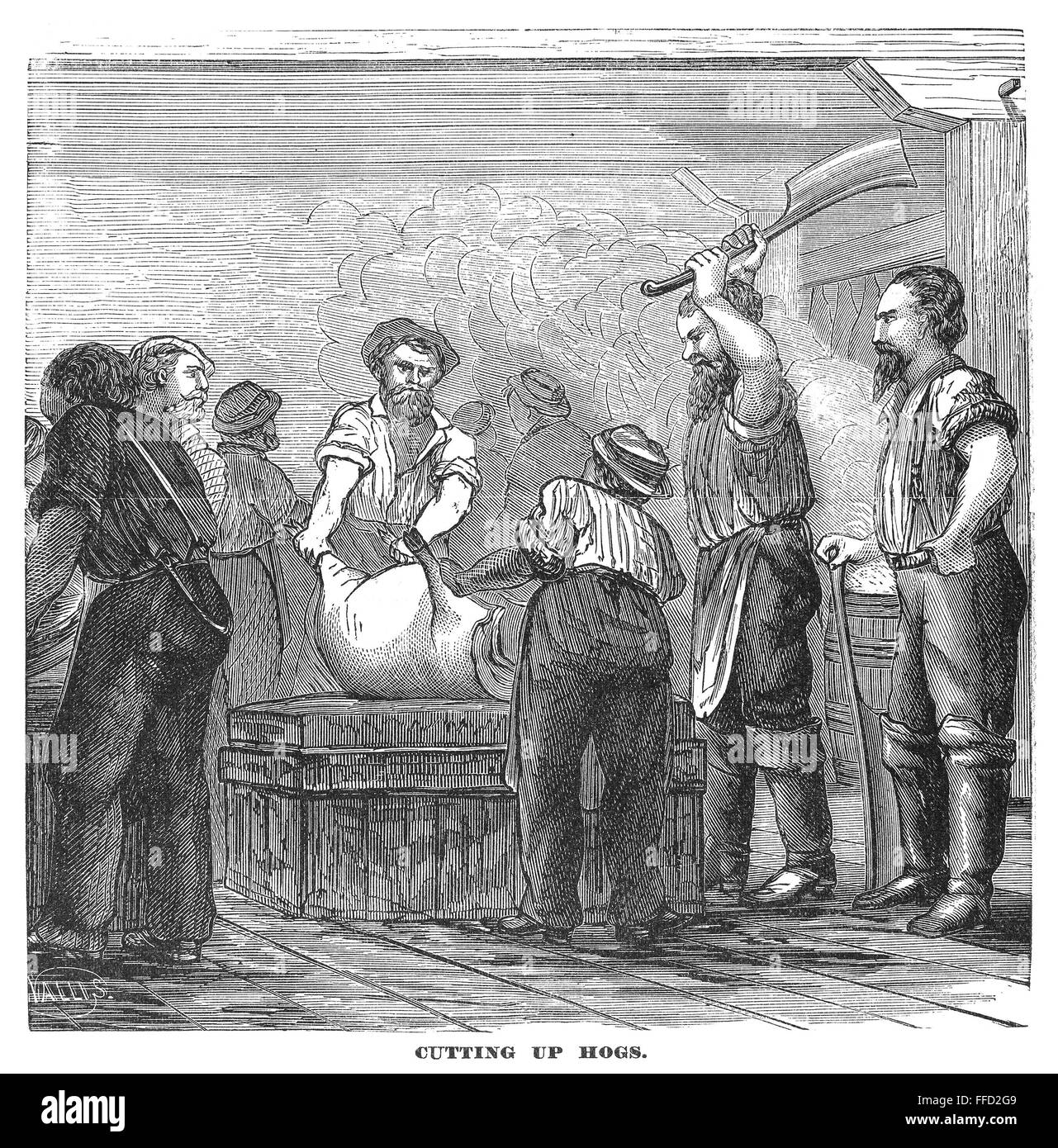 CHICAGO: MEATPACKING, 1878. /nCutting up hogs at a meatpacking plant in ...