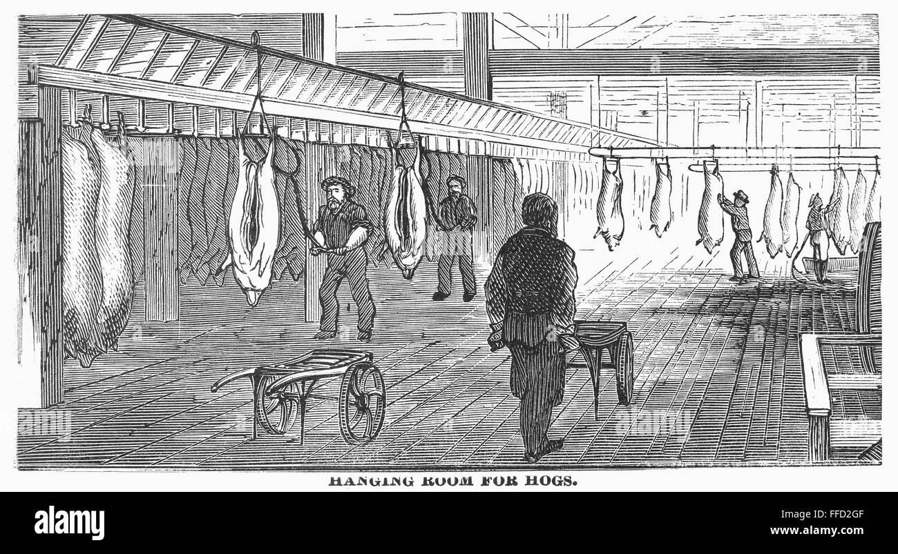 CHICAGO: MEATPACKING. /nHanging room for hogs at a meatpacking plant in ...