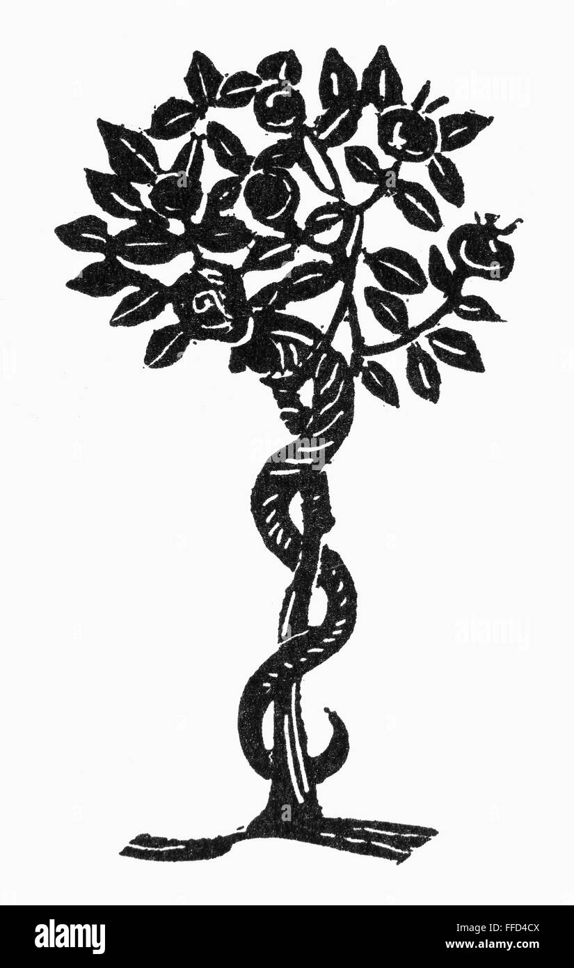 SYMBOL: TEMPTATION. /nA serpent and apple tree, symbol of temptation ...