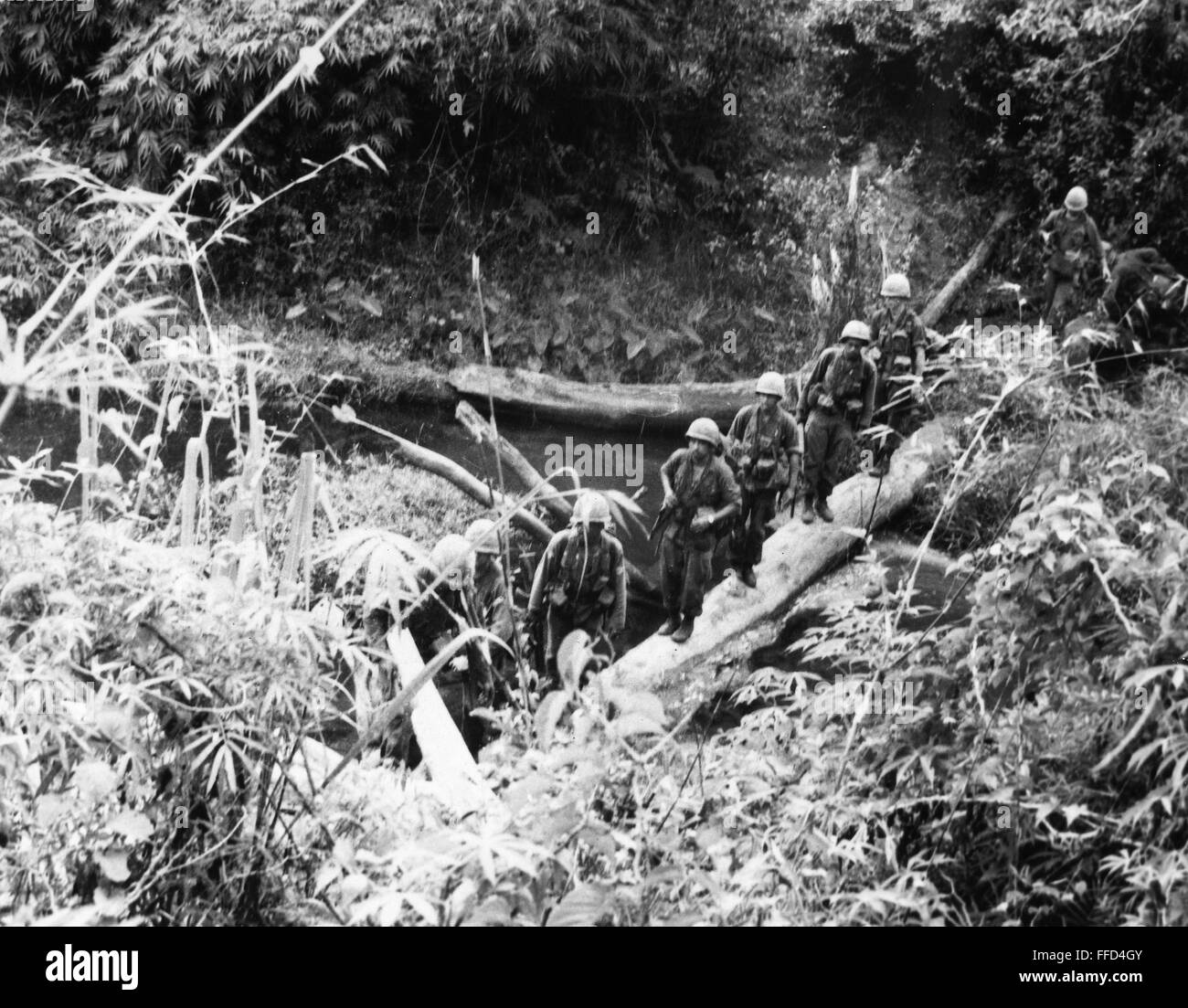 Vietnam war jungle High Resolution Stock Photography and Images - Alamy