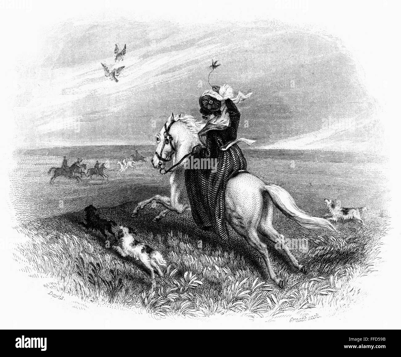 English hunting horse hi-res stock photography and images - Alamy