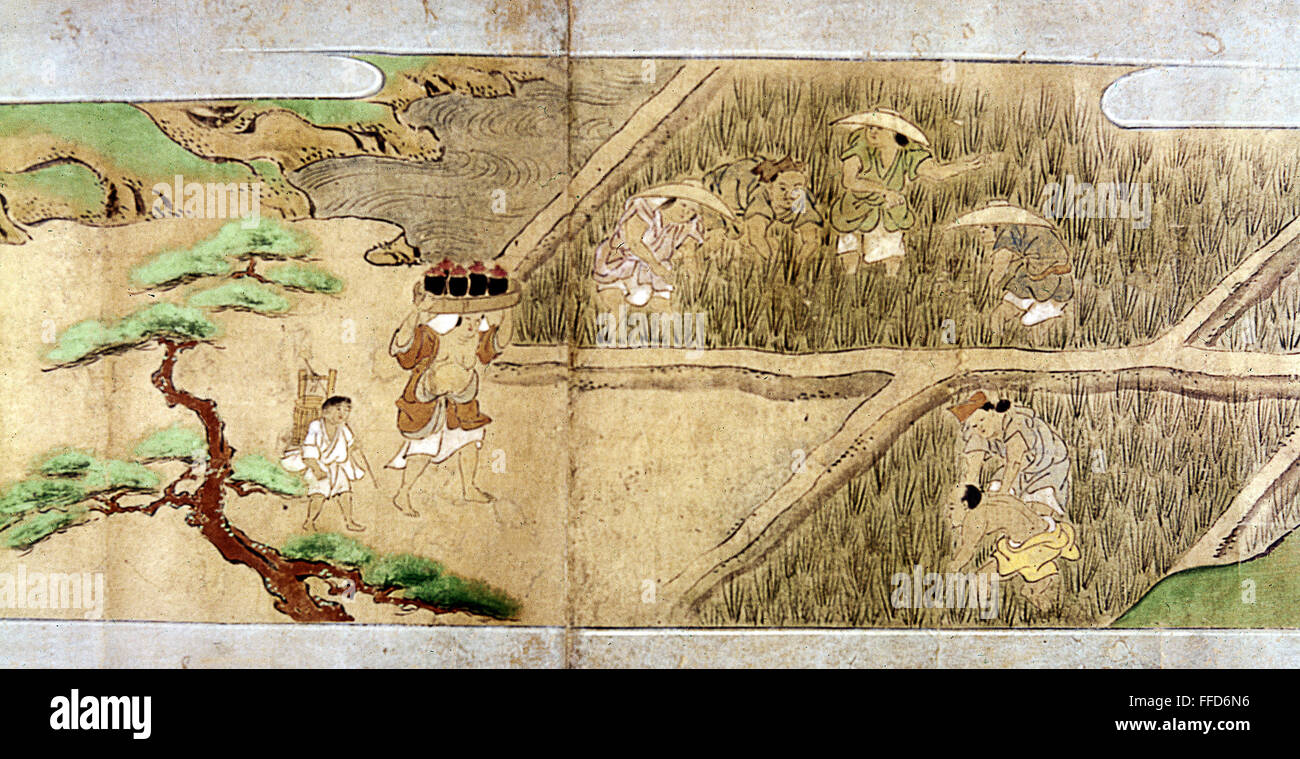 JAPAN: RICE FARMING. /nFarmers lay seeds of rice in paddies before they ...