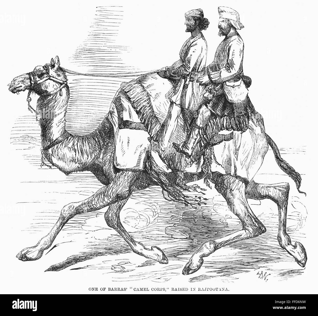 INDIA: CAMEL CORPS, 1859. /nMembers of Barras' 'Camel Corps,' raised in ...
