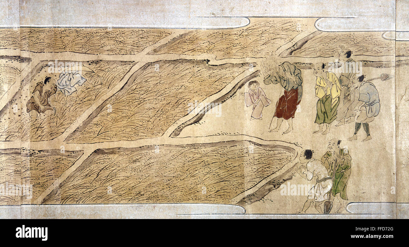 JAPAN: RICE HARVEST. /nJapanese villagers at fields of rice ready for ...