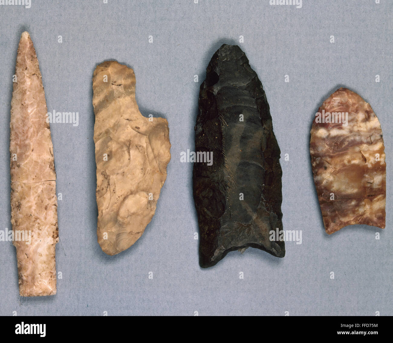 PALEOLITHIC TOOLS. /nNative American folsom point arrowheads Stock ...